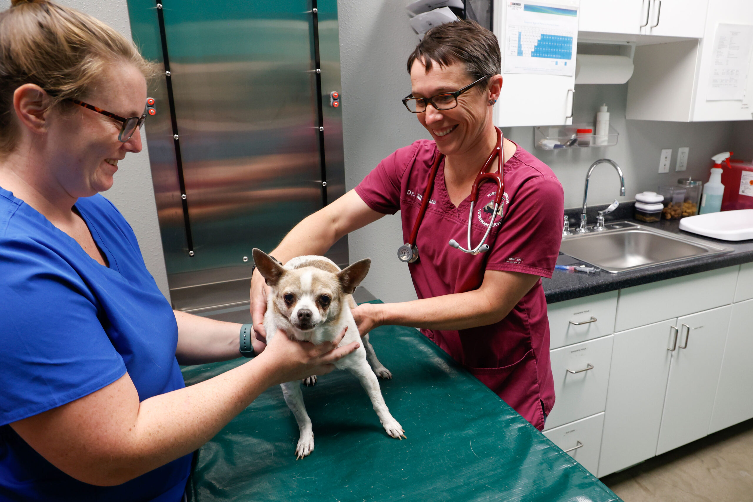 Success Story - Turtle Mountain Veterinary Service - ND Small Business ...