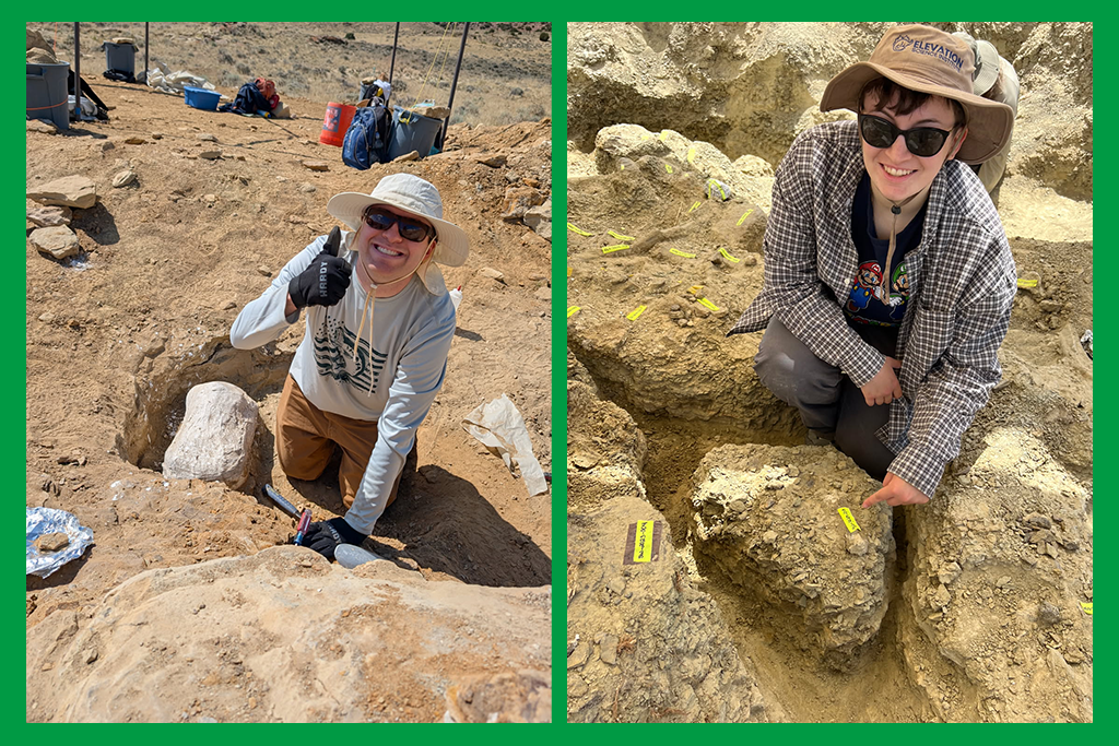 From Badlands to the classroom via virtual field trip - College of ...