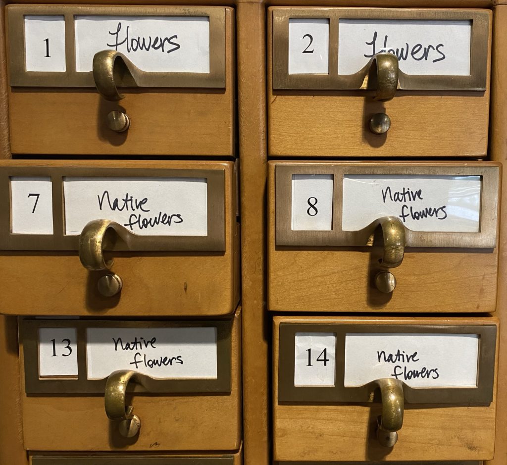 Resources at CFL for a Stronger Semester - Chester Fritz Library Updates