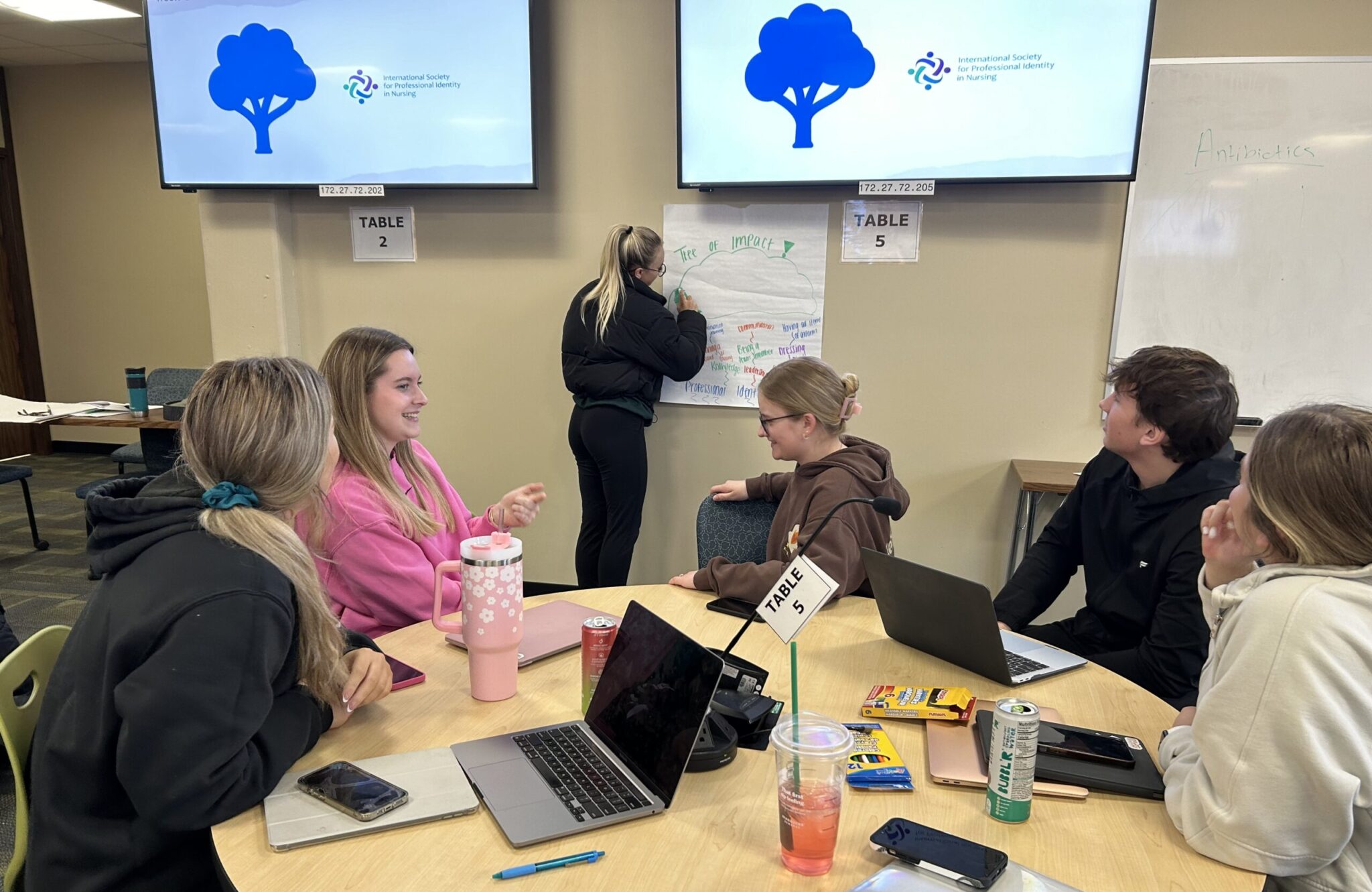 Nurturing the Roots of Nursing: Insights on Professional Identity in ...