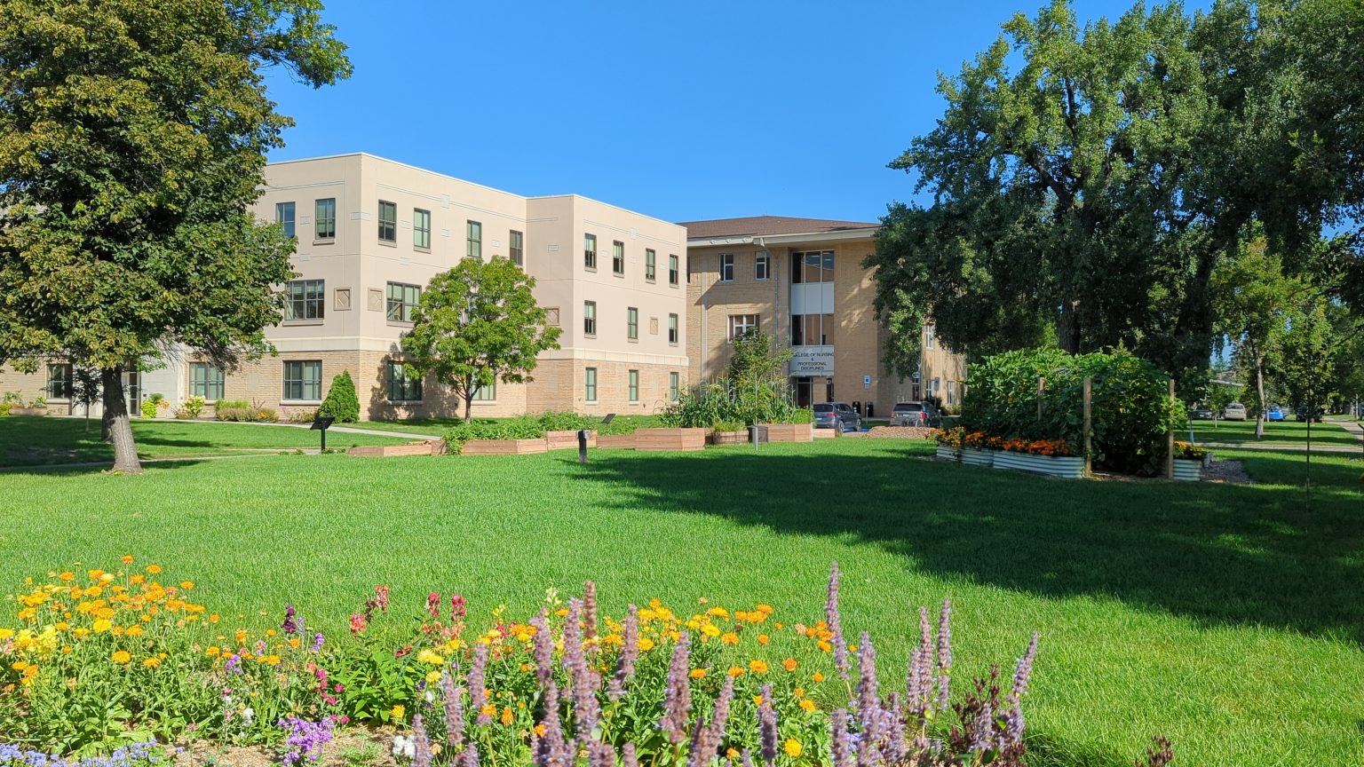Spring 2025 UND Undergraduate Nursing Pinning Ceremony - College of ...