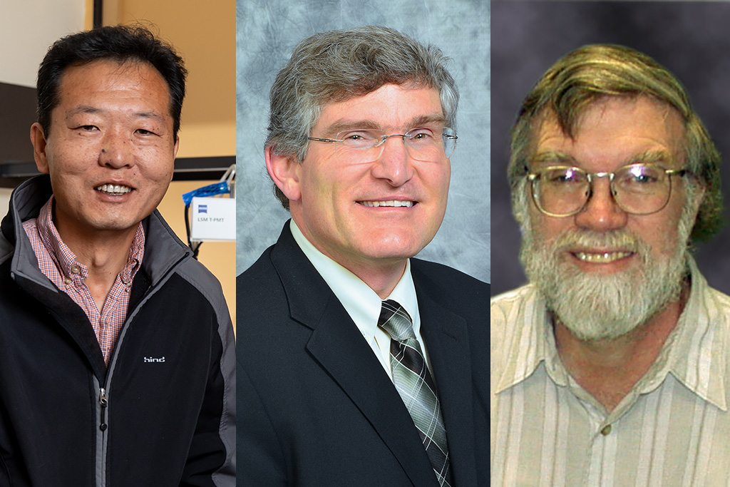 Phase 1 medical students recognize three faculty for Outstanding Unit ...