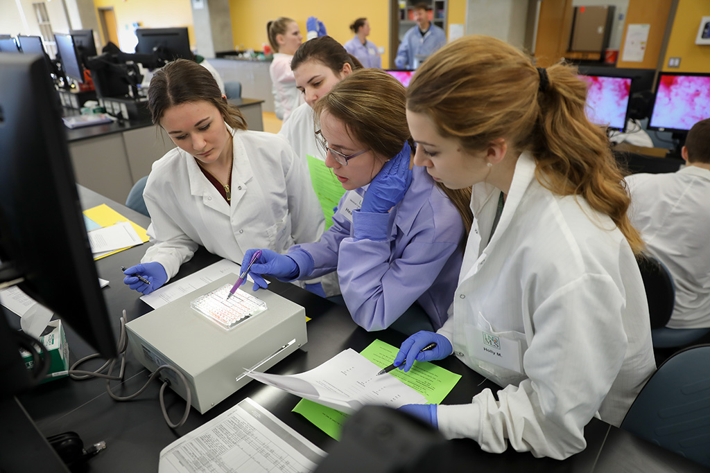 UND Medical Laboratory Science students receive scholarships - For Your ...
