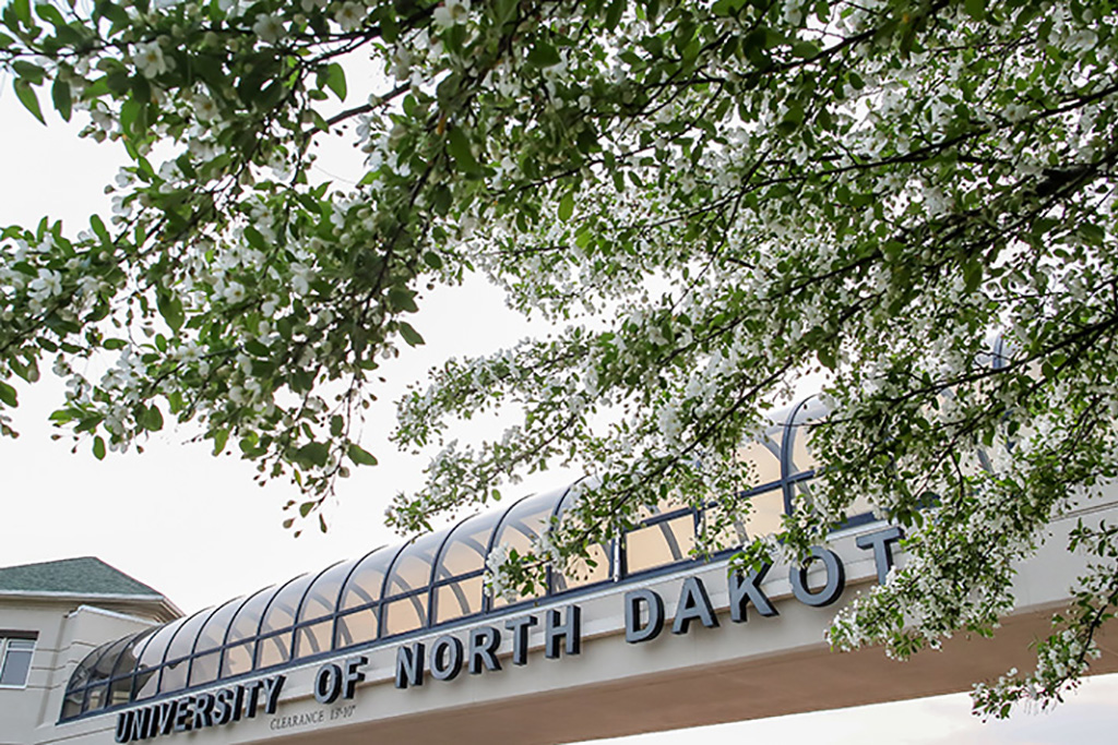 Mental Health Resources - Grand Rounds