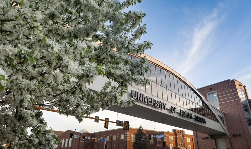 UND begins work on reaccreditation plan - UND Today