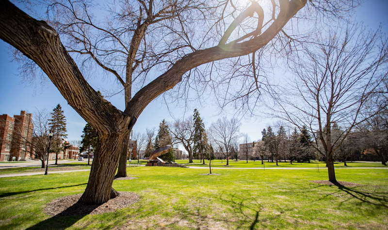 Calling all students - UND Today