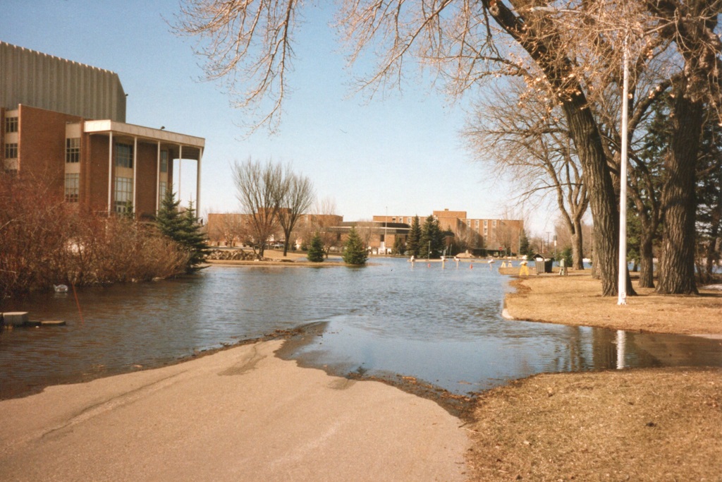 Disaster declaration - UND Today