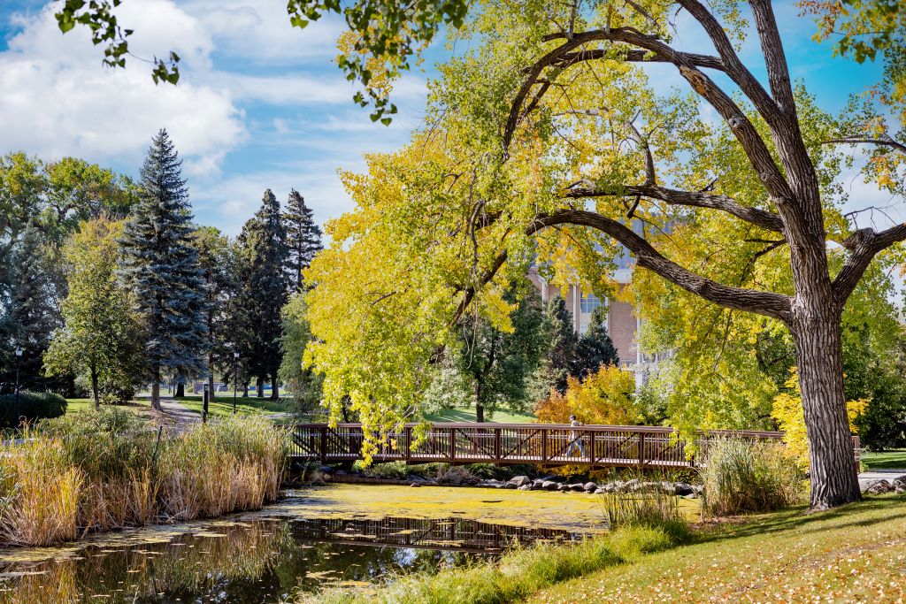 With help from Audubon Society, English Coulee is for the birds - UND Today