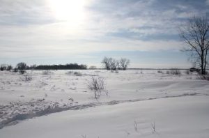 The effects of extreme cold on body decomposition - UND Today