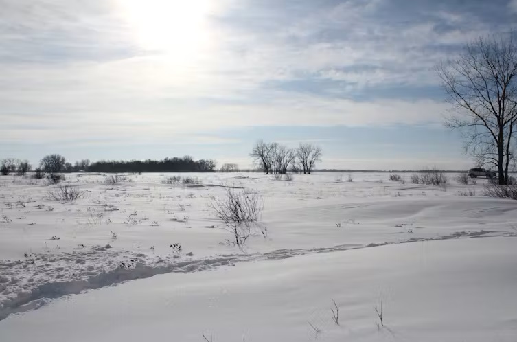 The effects of extreme cold on body decomposition - UND Today